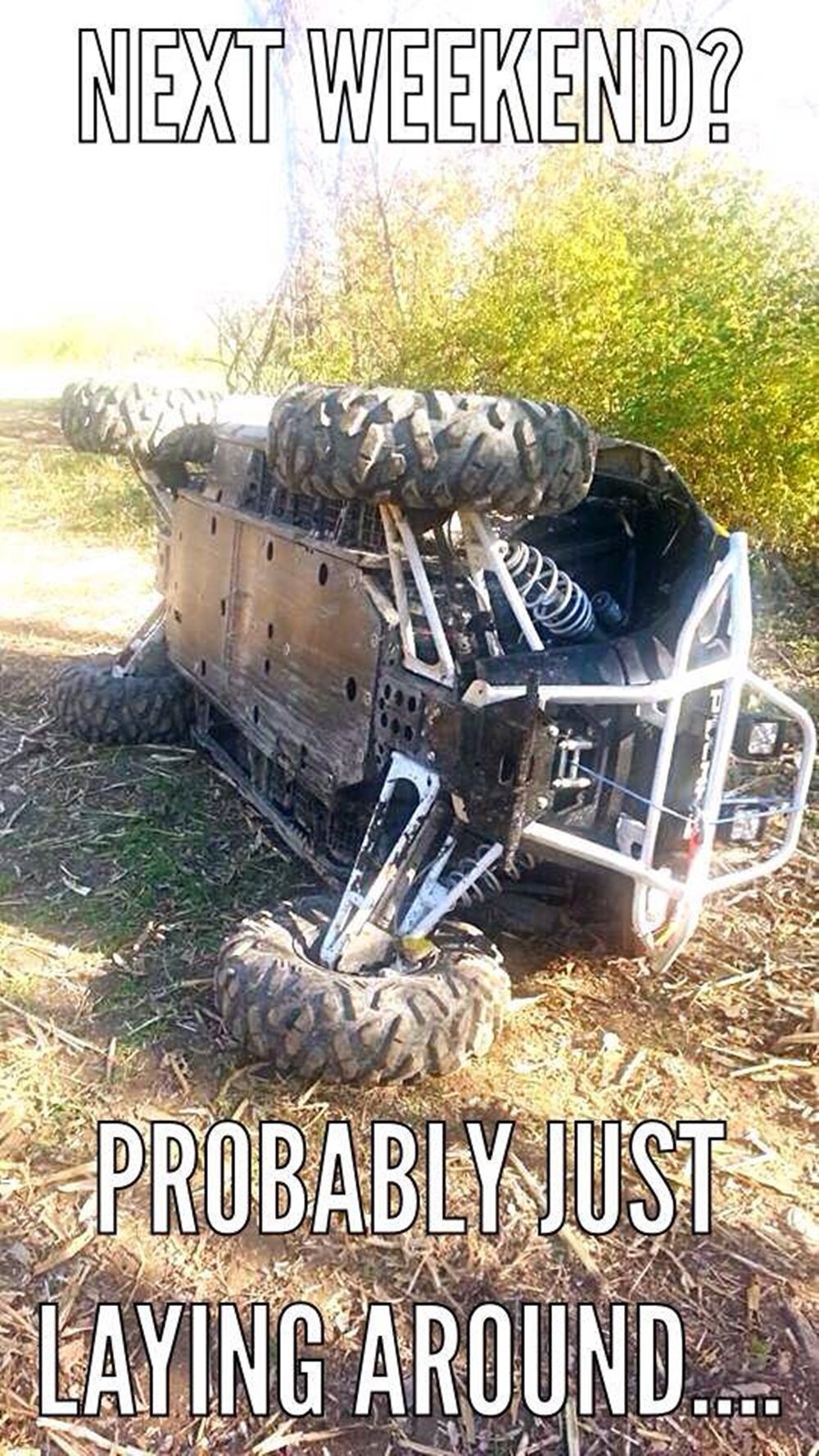 3 imagini amuzante ATV